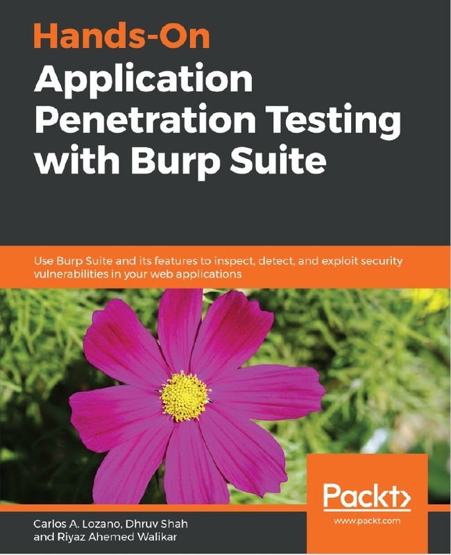 Application Penetration Testing with Burp Suite - Expert Training