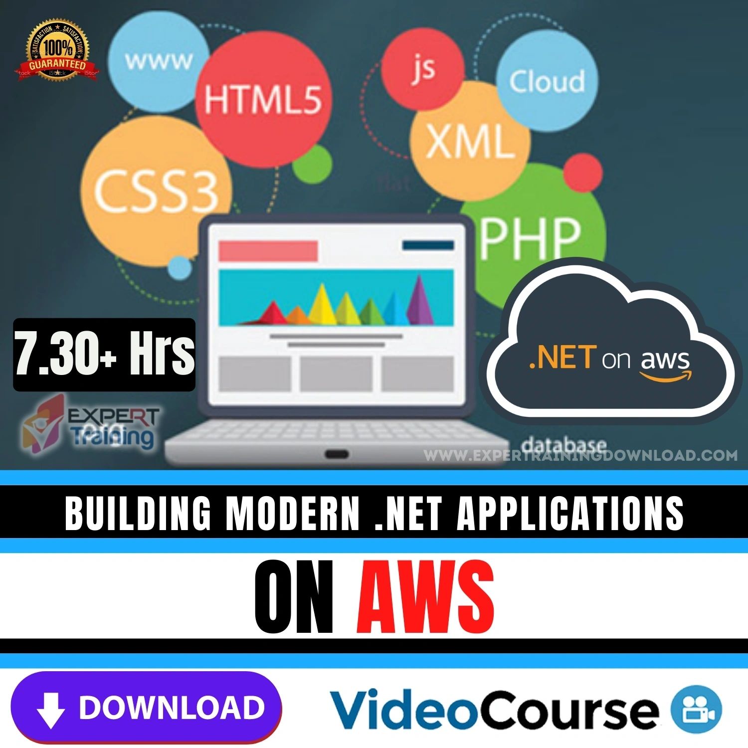 Building Modern Net Applications On Aws Expert Training