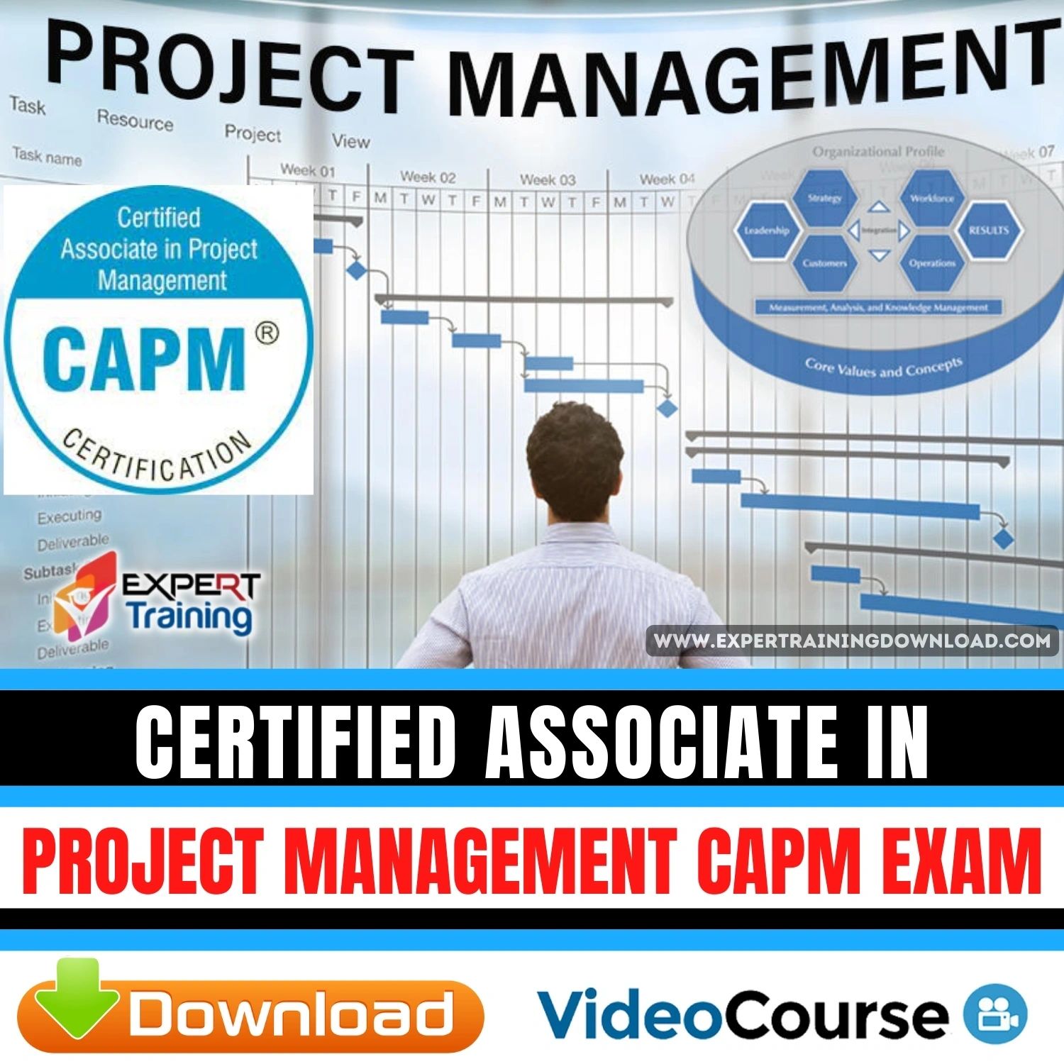 Certified Associate in Project Management CAPM Exam - Expert Training