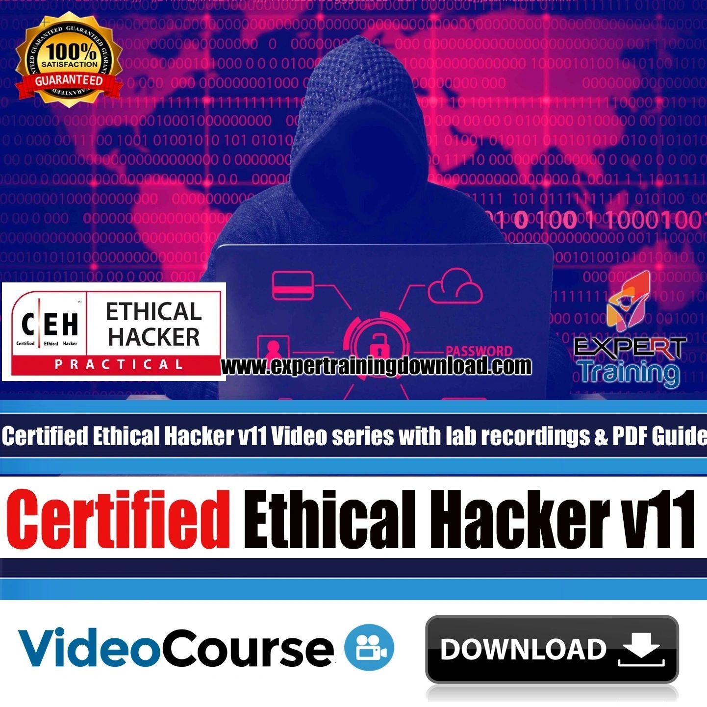 Certified Ethical Hacker v11 Video Series with Lab Recordings - Expert Training