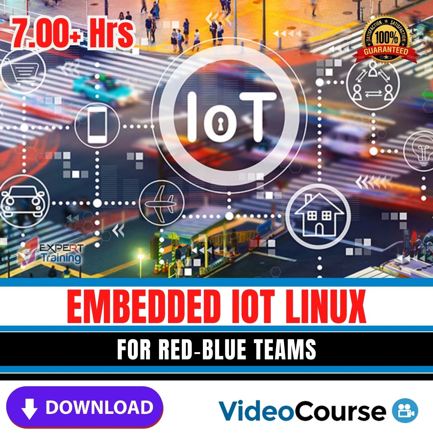 Embedded IoT Linux for Red Blue Teams - Expert Training