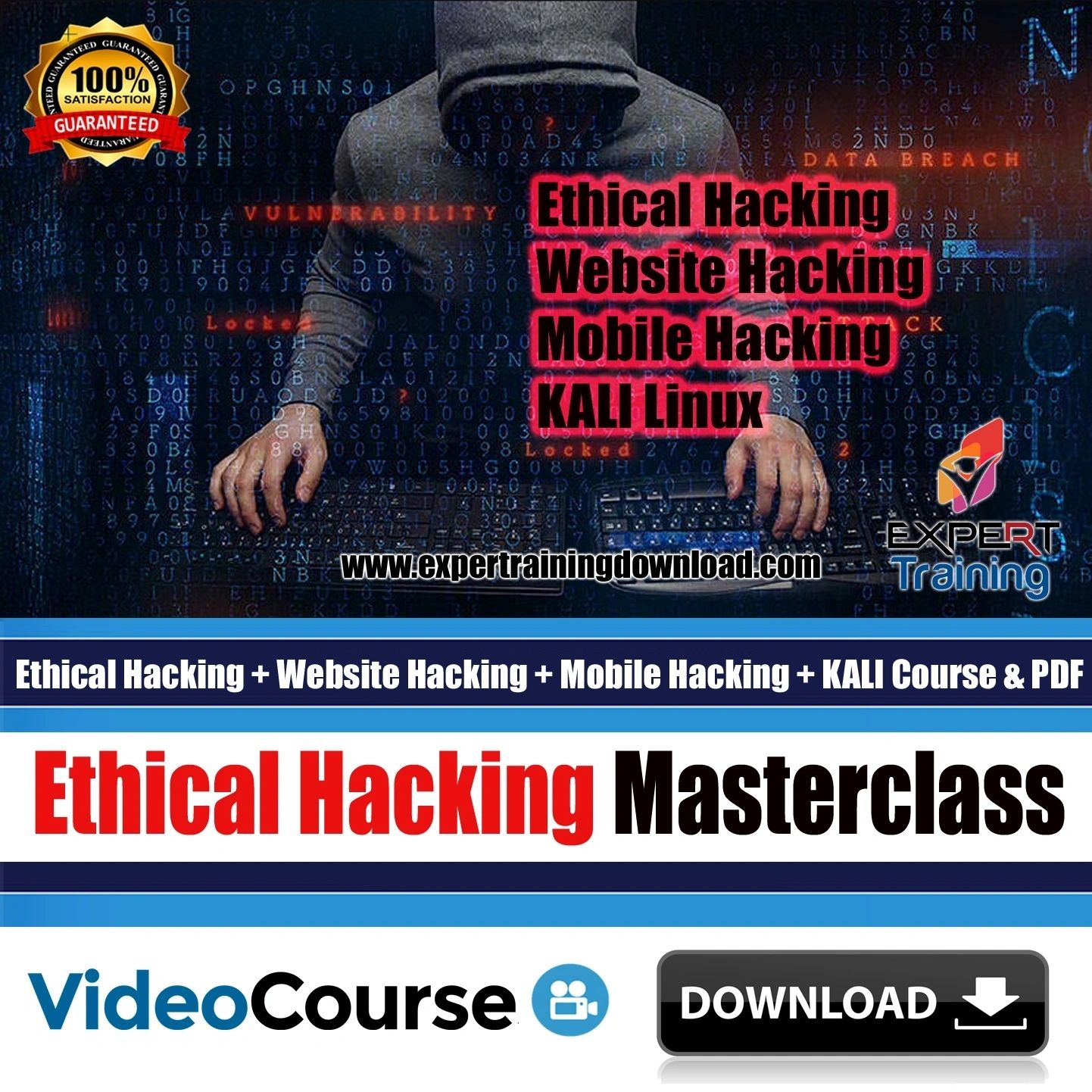 Ethical Hacking Website Hacking Mobile Hacking Kali Course Expert Training