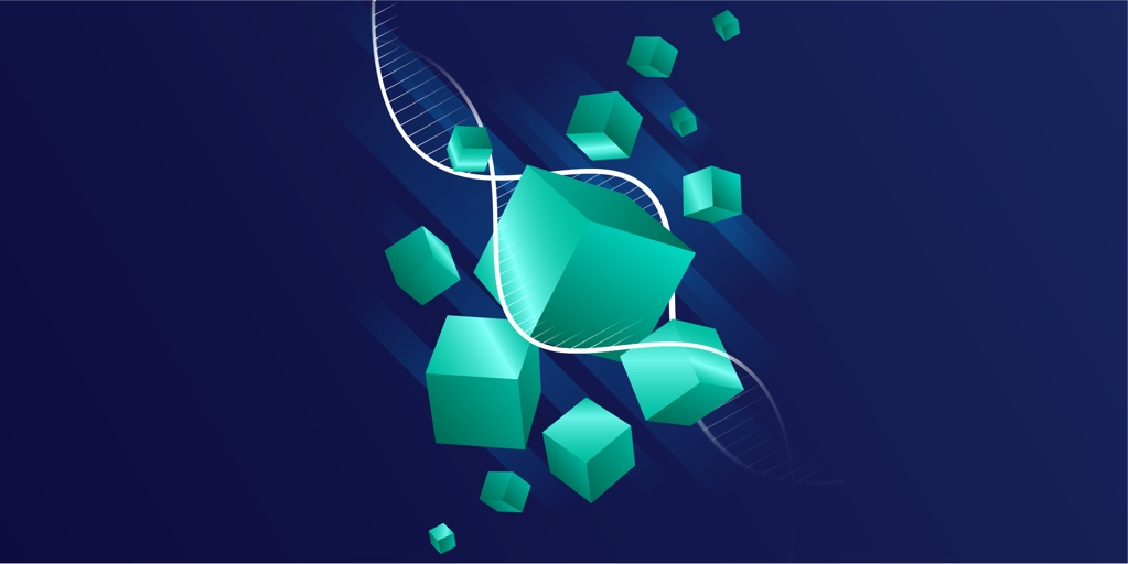 Functional Components in Vue.js - Expert Training