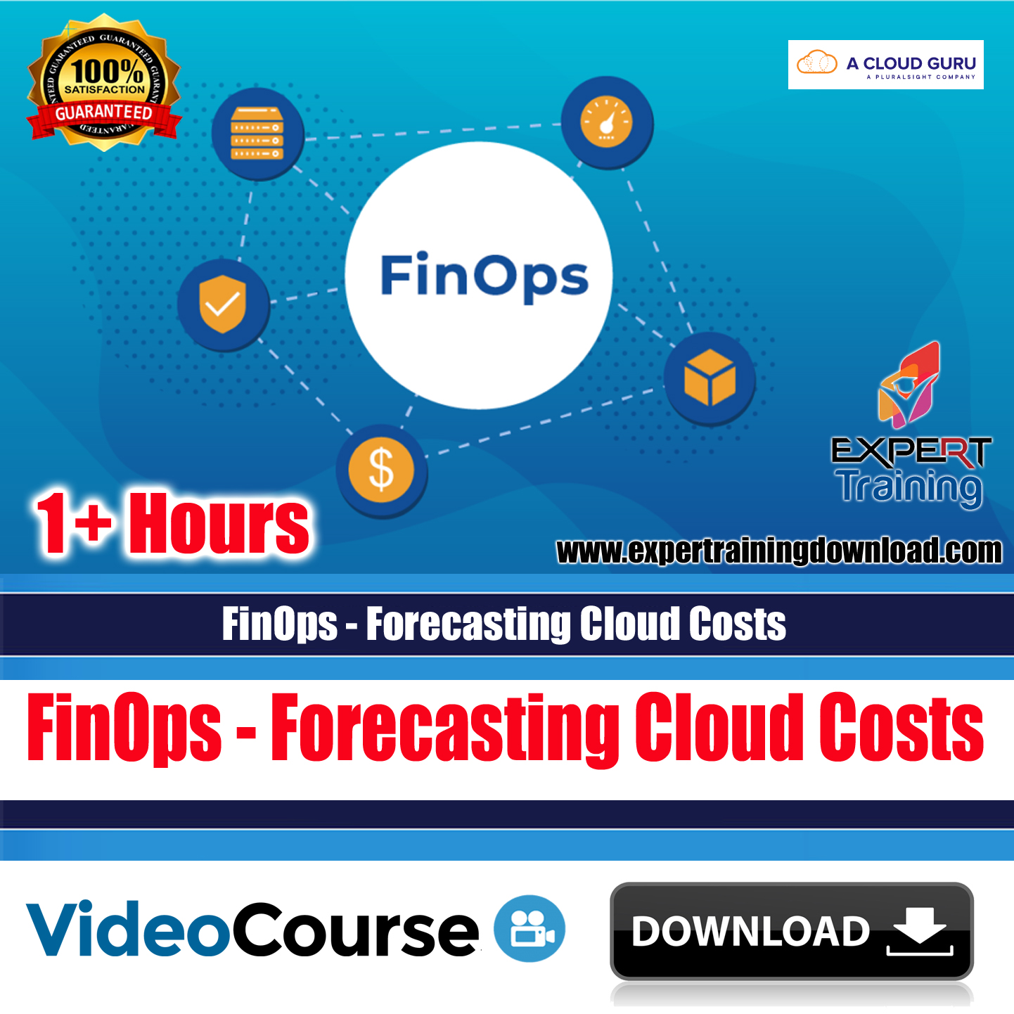 Google Cloud FinOps Fundamentals - Expert Training
