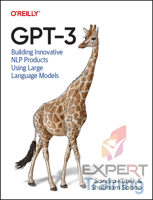 GPT-3: Building Innovative NLP Products Using Large Language Models (2022) - Expert Training