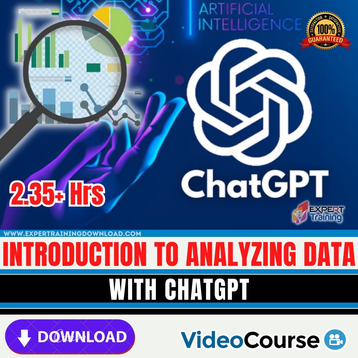 Introduction to Analyzing Data with ChatGPT - Expert Training