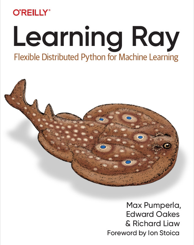 Learning Ray: Distributed Python for Machine Learning (2023) - Expert Training