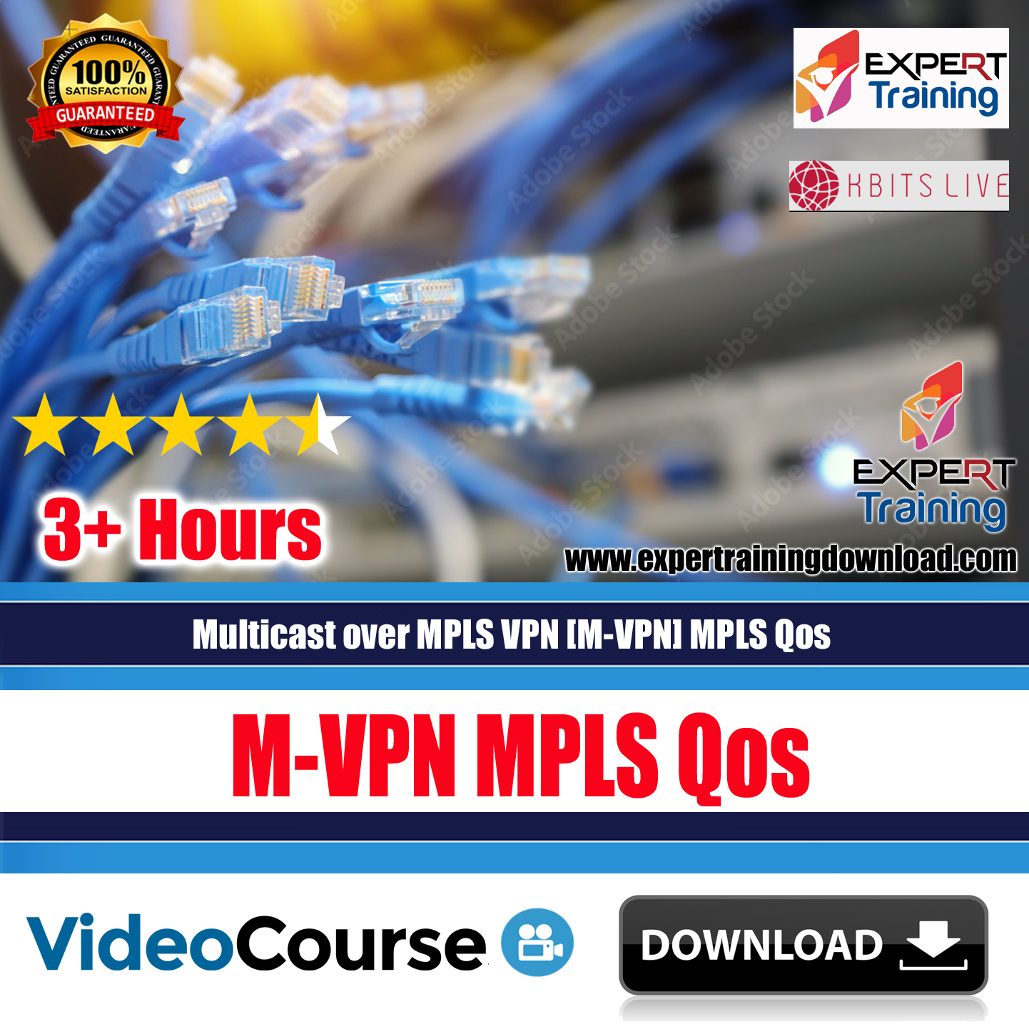 Multicast over MPLS VPN [M-VPN] MPLS Qos - Expert Training
