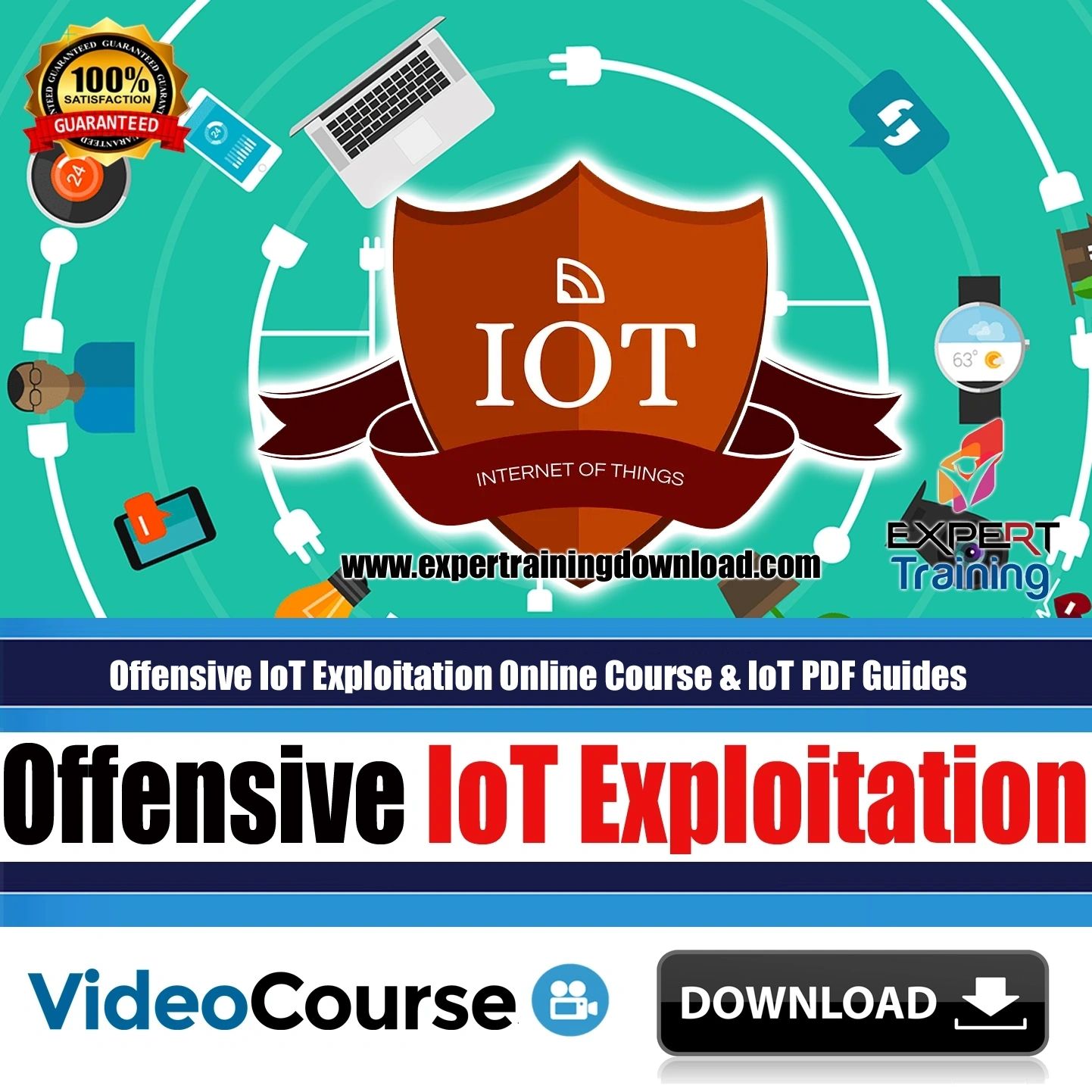 Offensive Iot Exploitation Online Course And Pdf Guides Expert Training