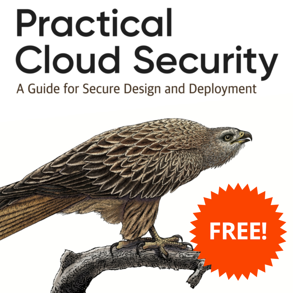 Practical Cloud Security Expert Training
