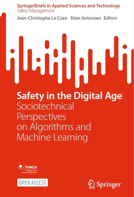 Safety in the Digital Age: AI, Algorithms & Risk Management - Expert Training