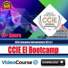 CCIE Enterprise Infrastructure (EI) v1.1 - Expert Training
