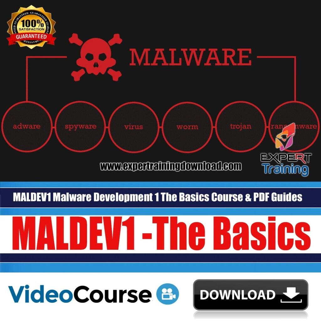 MALDEV1 Malware Development 1 The Basics Course - Expert Training