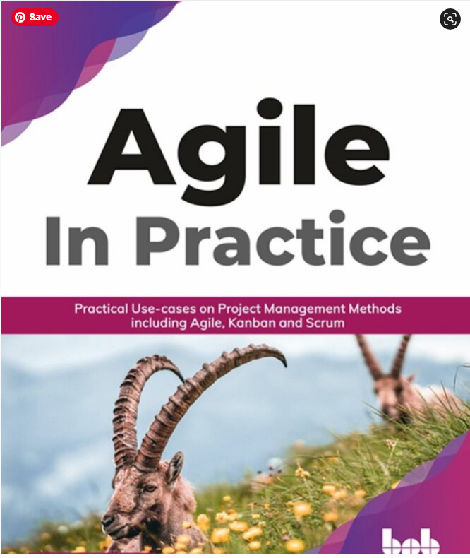 AGILE in Practice Practical Use-cases on Project Management Methods including Agile, (English ...
