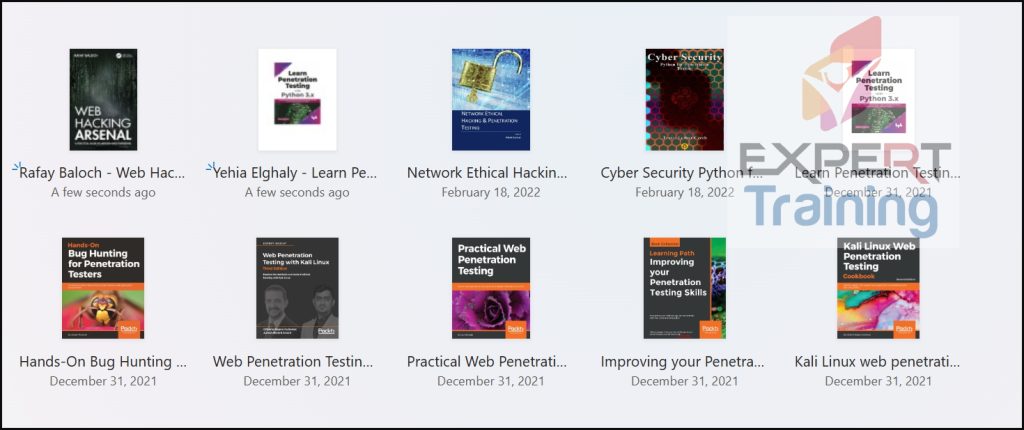 eWPTX Web Application Penetration Testing Professional - Expert Training