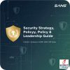 Security Strategy, Policy & Leadership Guide - Expert Training